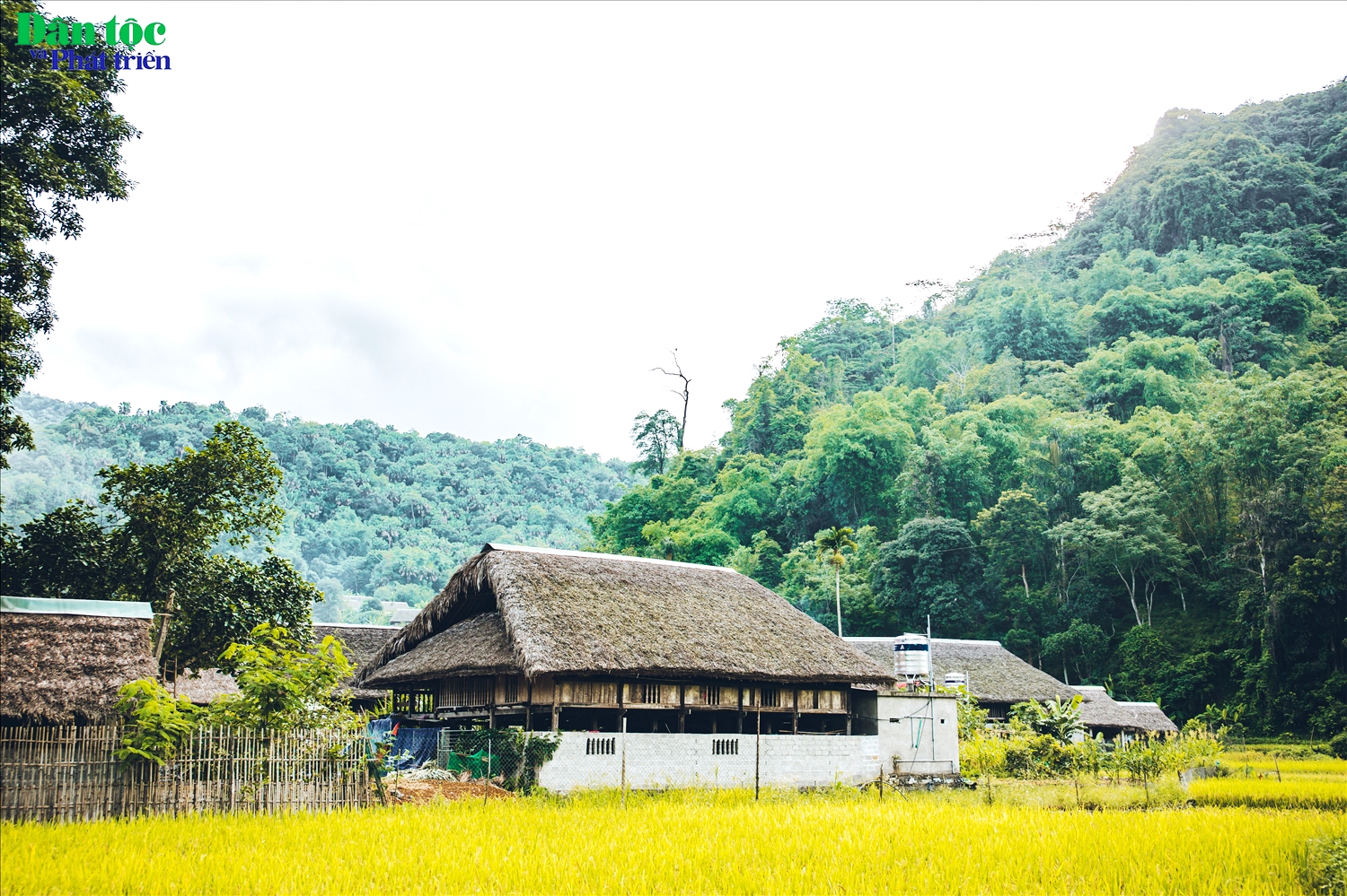 Tày and Dao Villages of Hà Giang: Nature, Culture, and Traditions